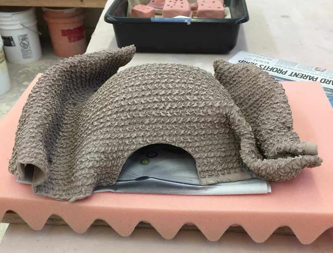 Make a toad house - Welcome Wildlife