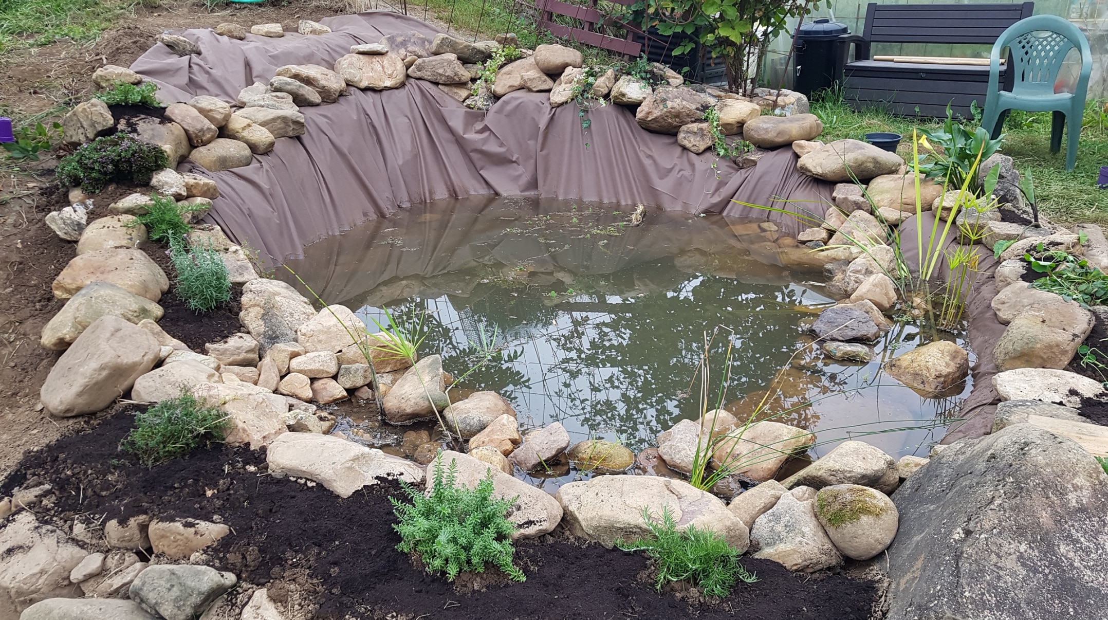 How to build a backyard pond