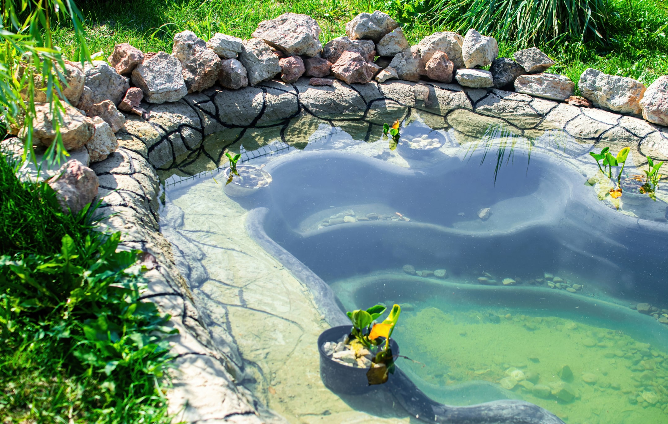 How to build a backyard pond
