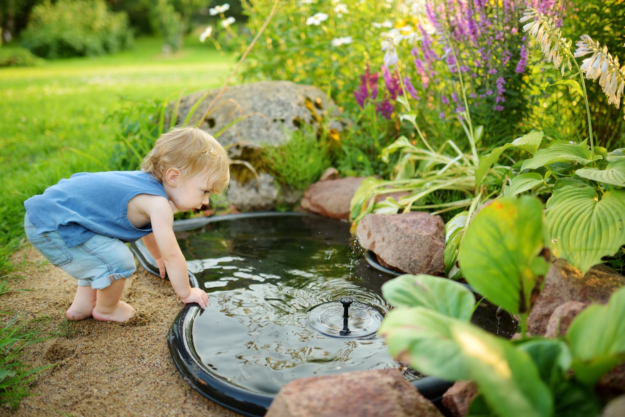 How to build a backyard pond